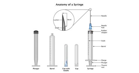 How To Read A Syringe Correctly Measuring Small Doses 0 25 Ml