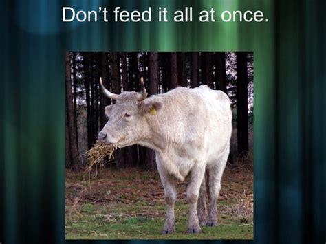 Preaching Template 4 Sermons Ppt