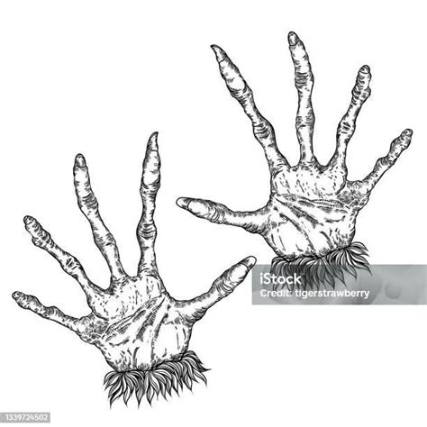 할로윈 조각 그림 세트의 괴물 손 늑대 인간 마녀 좀비 드래곤 그리고 뱀파이어 손 흰색 배경에 고립 벡터 갈고리 발톱에 대한 스톡 벡터 아트 및 기타 이미지 Istock