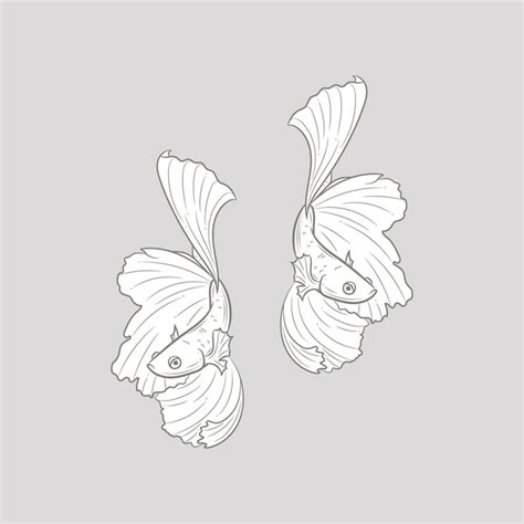 Betta 물고기의 물고기 벡터 그림 그리기 프리미엄 벡터