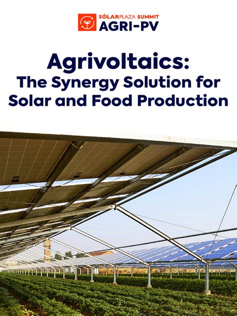 White Paper Agrivoltaics The Synergy Solution For Solar And Food