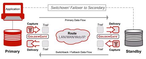 Oracle GoldenGate ESTI Consulting Services Canada S IT Experts
