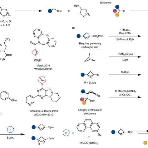State Of The Borylation Of Alkyl C H Bonds Applications Of Bcps And Download Scientific