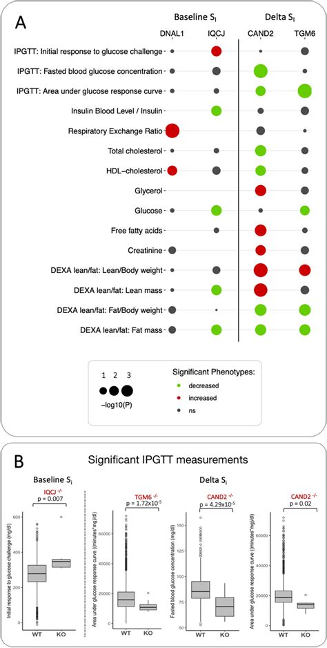 Validation Of Gene Candidates From Gwas Analysis In A Mouse Knock Down