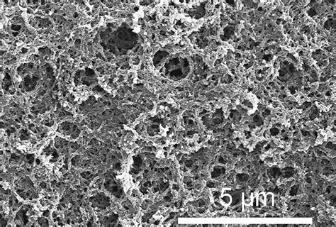 Sem Image Of Pani Nanofibers Prepared By Fecl 3 Solution Oxidation