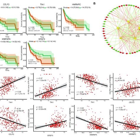 Survival Associated Sfs And Splicing Correlation Network In Oscc A
