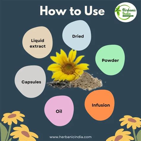 Sunflower Seeds Extract Powder At Rs 1250 Kg Flaxseed Powder In