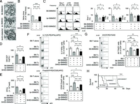 Systemic Transplantation Of Shed Rescues Hematopoietic Niche Forming Download Scientific Systemic Transplantation Of Shed Rescues Hematopoietic Niche Forming Download Scientific
