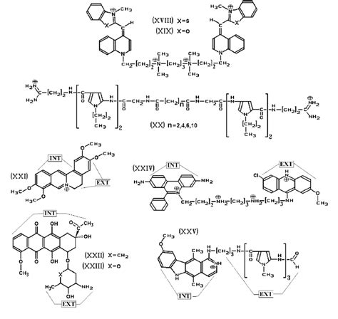 Structural Formulas Of Some Bifunctional Dnaabinding Dyes Xviii Download Scientific Diagram