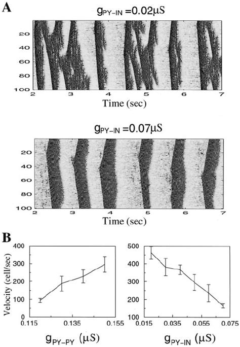 Effect Of Py Py And Py In Conductances On Spontaneous Waves