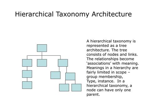 Ppt Taxonomy Powerpoint Presentation Free Download Id5743489
