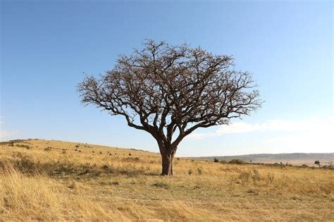 Transaction Isolation Levels In Postgresql Rprogramming