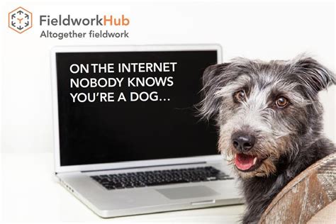 Fieldworkhub Marketresearch Quantitativeresearch Fieldwork 🔸