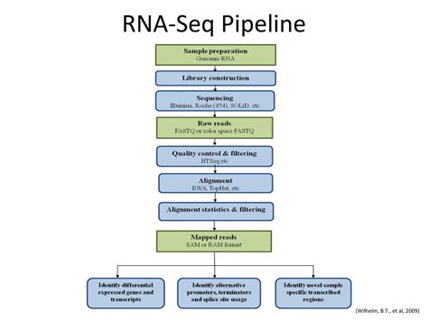 Ppt Introduction To Next Generation Sequencing Ngs Data Analysis Powerpoint Presentation