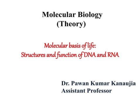 Nucleic Acids Chap5 Biochemistrypdf