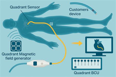 Operating Principles Quadrant Scientific