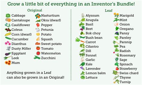 Inventors Bundle Evergreen Basket Weave Texture Greenstalk Garden