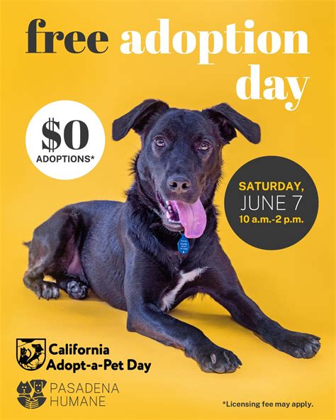 Pasadena Humane Pasadena Ca