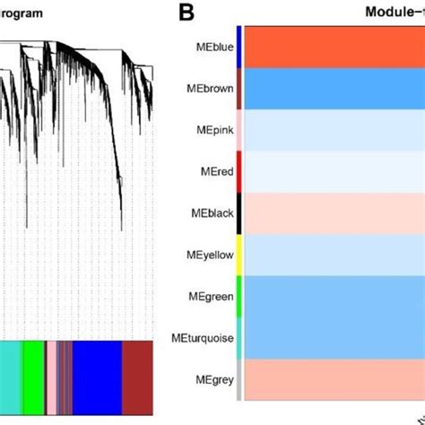 Weighted Gene Co Expression Network Analysis Wgcna A Gene