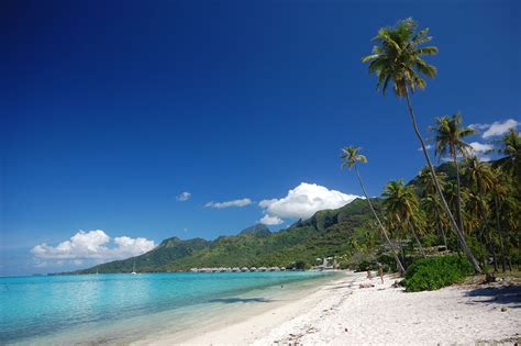Moorea Beach