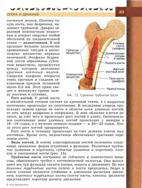 Учебник Биология 8 класс Пасечник читать онлайн