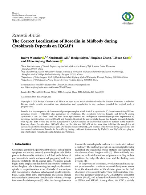 Pdf The Correct Localization Of Borealin In Midbody During