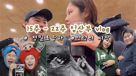 임신vlog 임신 15주차~22주차 임산부의 일상 ㅣ 정밀초음파 검사 ㅣ 먹덧의시작 Youtube