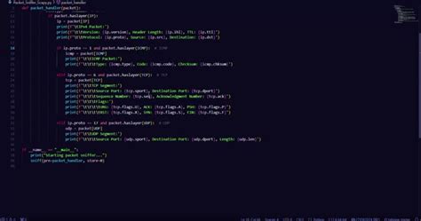 malik ali raza on linkedin cybersecurity packetsniffer python
