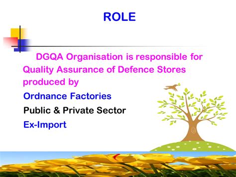 Dgqa Qa Procedures By Brig S Itanal Controller Cqa Pdf Women S
