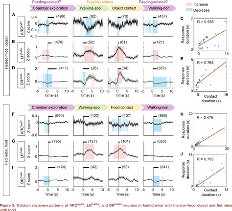 Figure 3 From An Iterative Neural Processing Sequence Orchestrates Feeding Semantic Scholar
