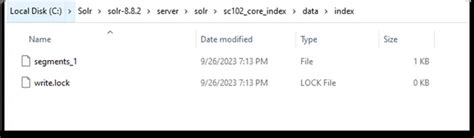 How To Unlock Solr Index And Cause Of Index Being Locked Addact Technologies