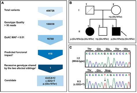 A Variant Filtering Scheme Used For Candidate Variant Identification