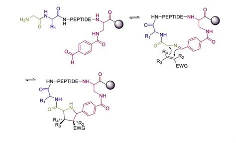 Amide Bond Formation In Cyclization Amide Bond Cyclization Qyaobio