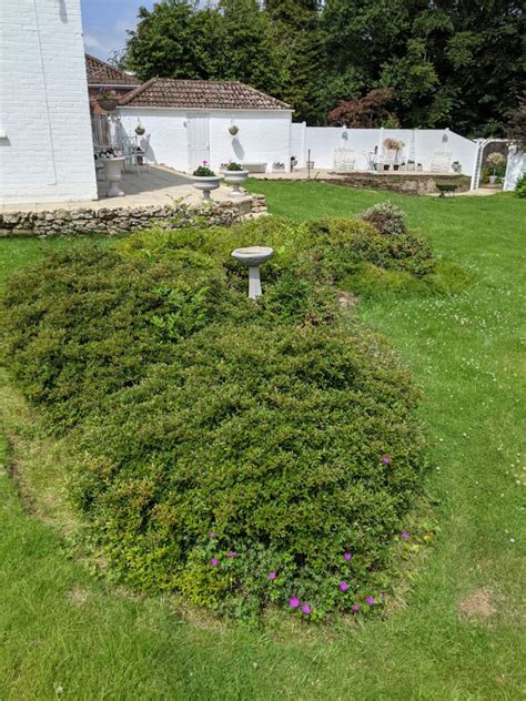 Beddy Byes - That's better gardening