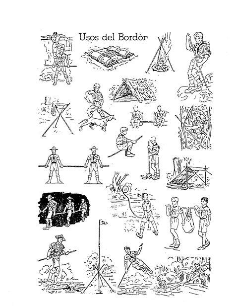 Jefe Poncho Tropa Menor El BordÓn Scout