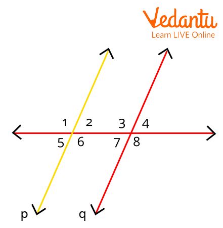 Alternate Interior Angles Definition Geometry Cabinets Matttroy