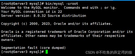 Mysql源码编译 Csdn博客 Mysql源码编译 Csdn博客