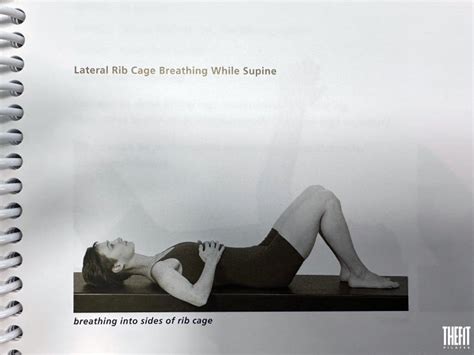 스탓필라테스 실기 6가지 기본원리 Basic Principle 최신업데이트 네이버 블로그