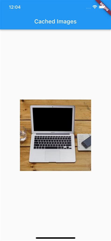 PAGE ISSUE Work With Cached Images Issue Flutter Website GitHub
