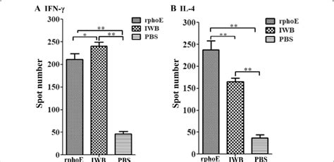 Elispot Assays Of Ifn γ And Il 4 Cytokine Secreting Splenocytes From