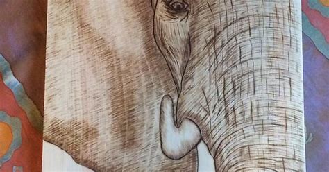 Elephant Pyrography 15x11 Imgur
