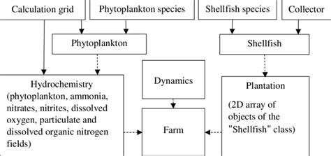 class structure of the object oriented coupled physical biological