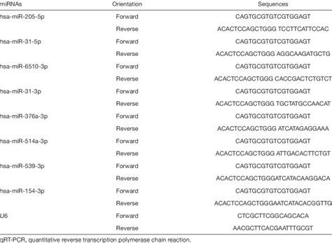 primers for the differentially expressed mirnas used in stem loop qrt