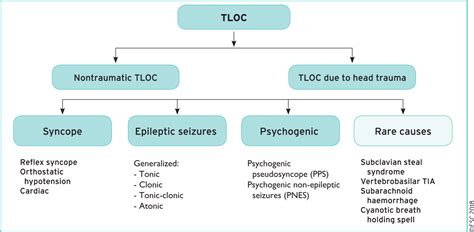 Transient Loss Of Consciousness Syncope Vs Epileptic Seizure — Gpraj