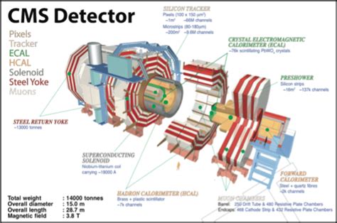 Schematic View Of The Cms Detector With Its Various Sections In Download Scientific Diagram