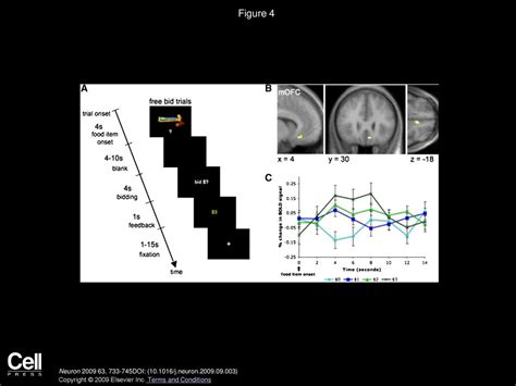 The Neurobiology Of Decision Consensus And Controversy Ppt Download