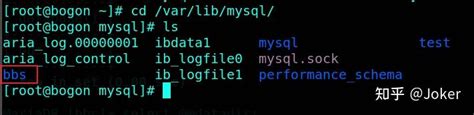 mysql 数据库备份 知乎