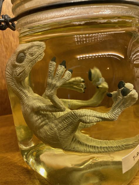 Jurassic Labs — Unlock Escape Rooms