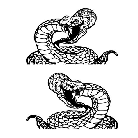 Coiled Snake Side Graphics Rebel Decal