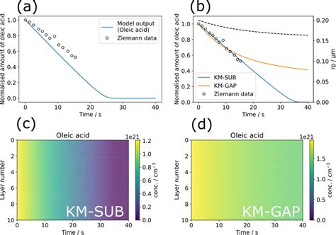 model optimisation to experimental data from ziemann ziemann 2005